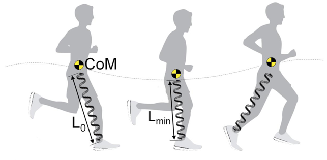 Do Running Injuries Depend on the Running Surface? | Biomechanics in ...