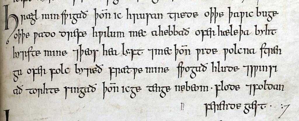 Exeter Book Riddle 7 – Medieval Studies Research Blog: Meet us at the ...